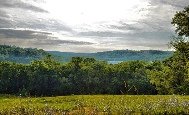 In Search of the Fouke Monster | The Arkansas Democrat-Gazette ...
