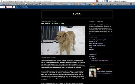 Today would have been Bork's 20th birthday | The Arkansas Democrat ...