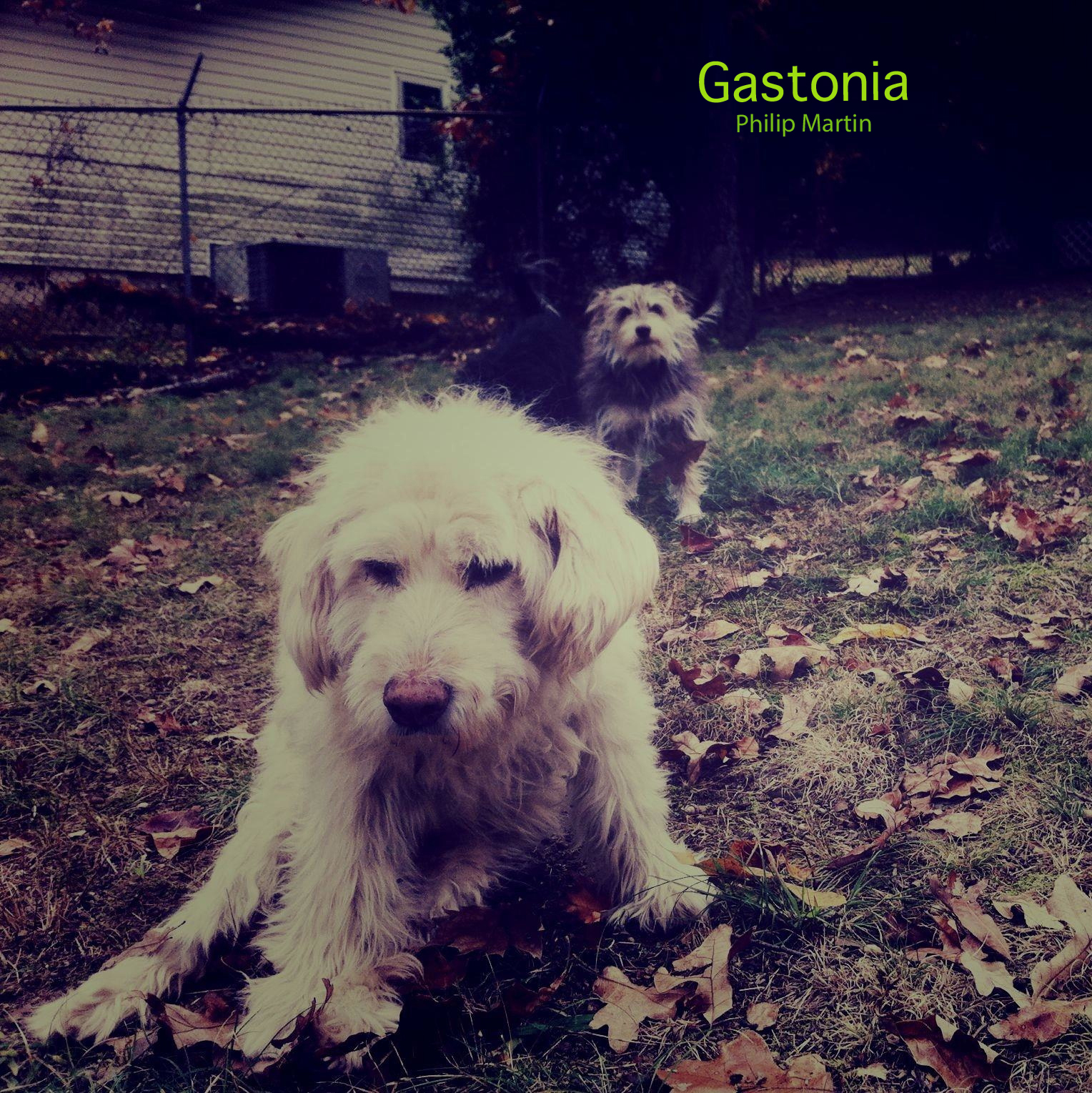 Gastonia: The album notes | The Arkansas Democrat-Gazette - Arkansas ...