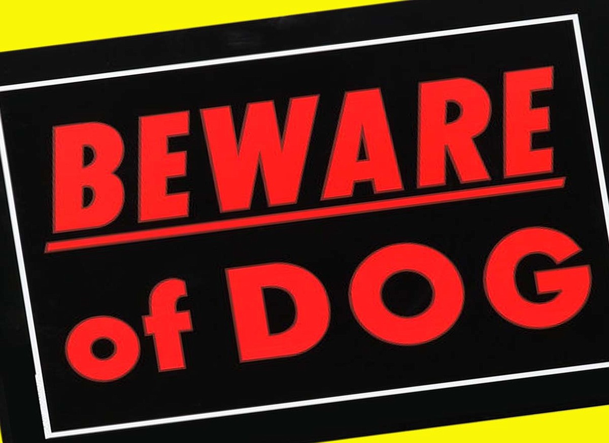 Postman bit in face by two pit bulls | Fulton Sun