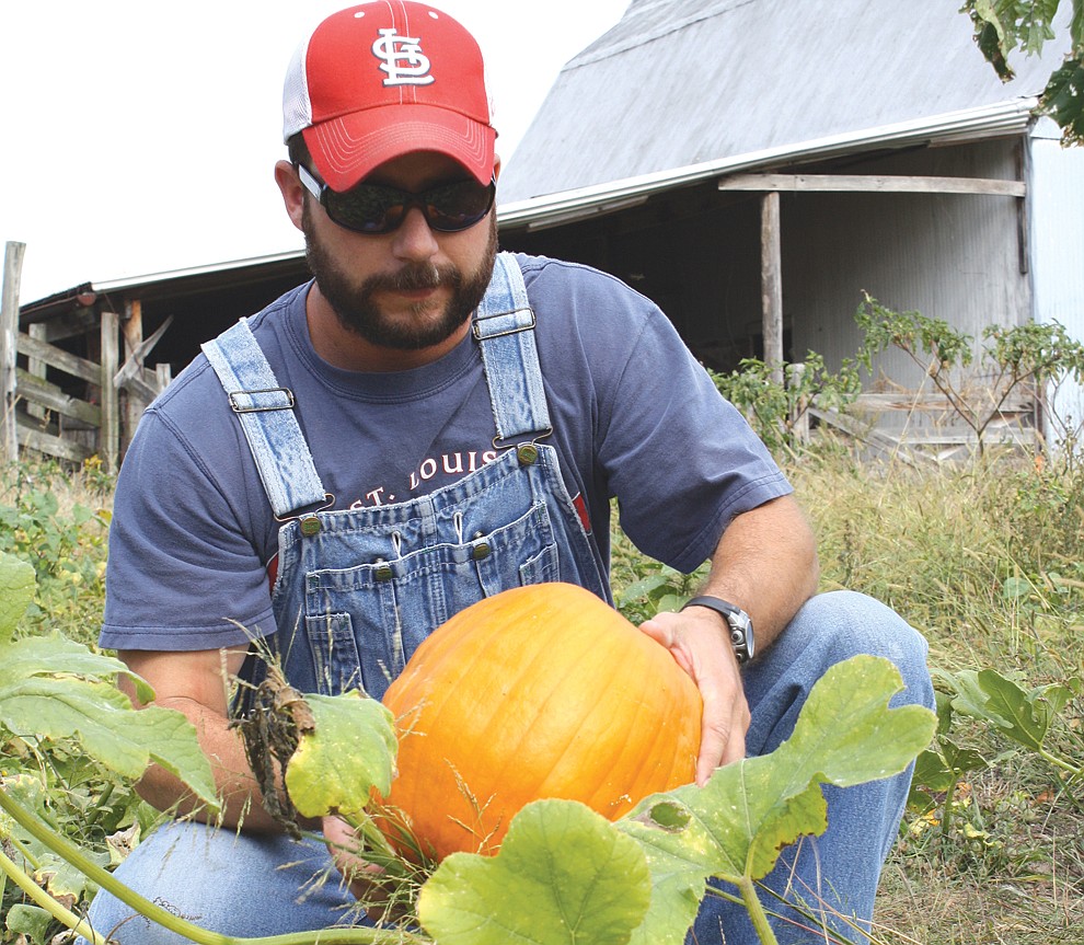 Local man plants pumpkin patch for fundraiser | Fulton Sun