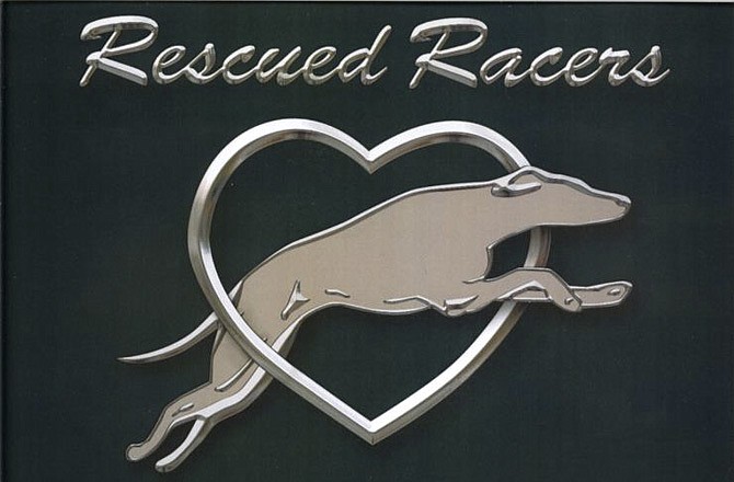 Retired greyhounds racing to find a home | Jefferson City News Tribune