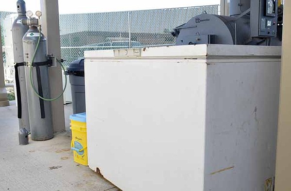 State allows three forms of animal euthanasia | Jefferson City News Tribune