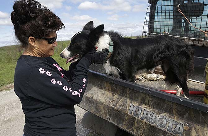 Specially trained dogs help out farmers with disabilities | Jefferson ...