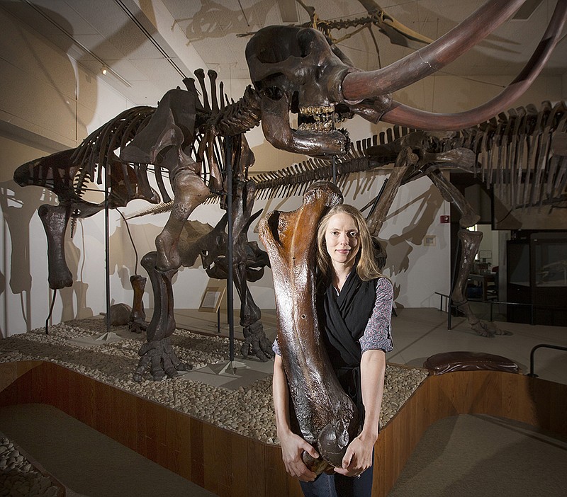 Researcher unravels century-old wooly tale to find truth | Texarkana ...