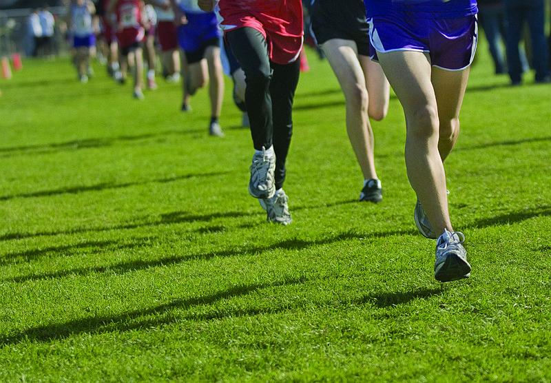 Huge global exercise contest shows potential