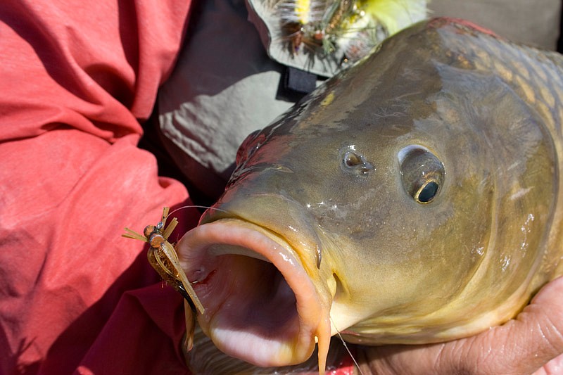 Missouri Department of Conservation temporarily waives fishing permit ...