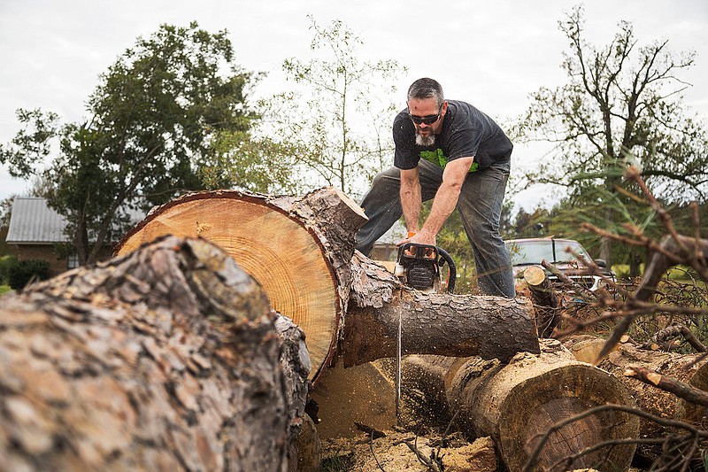 TIMBER TITAN: Local man makes career out of lumber | Texarkana Gazette