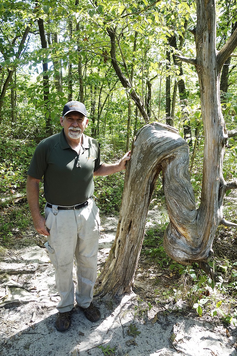 First Day Hikes will be Monday at state parks | Fulton Sun