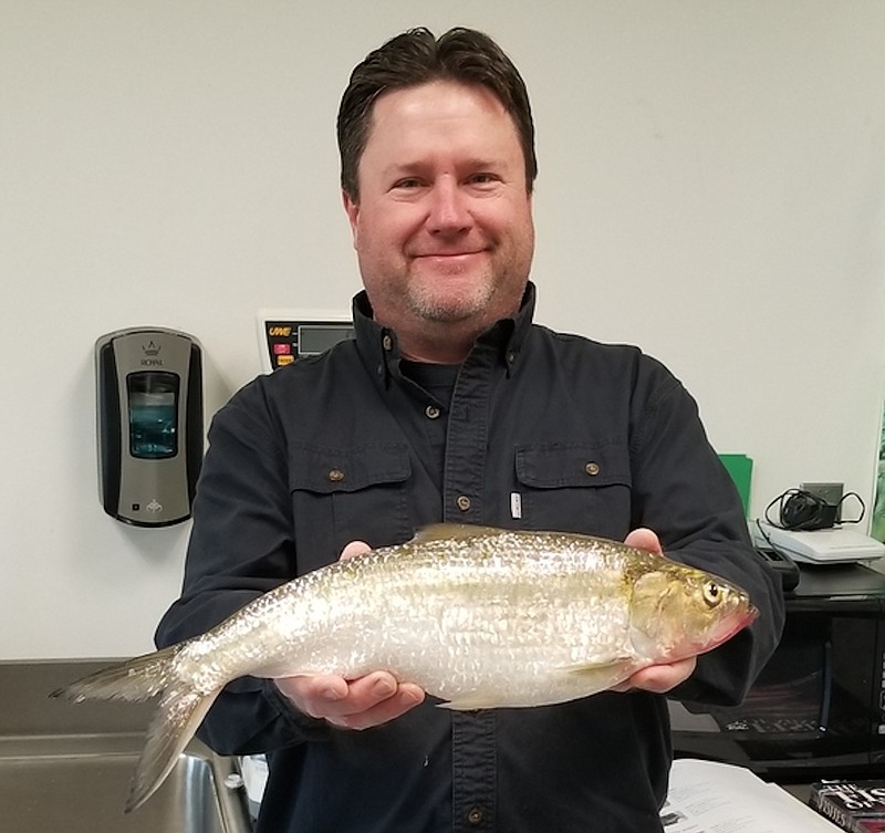 KC angler hooks state-record skipjack herring | California Democrat