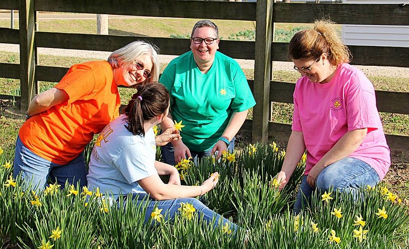 Fun times bloom at Jonquil Festival | Texarkana Gazette