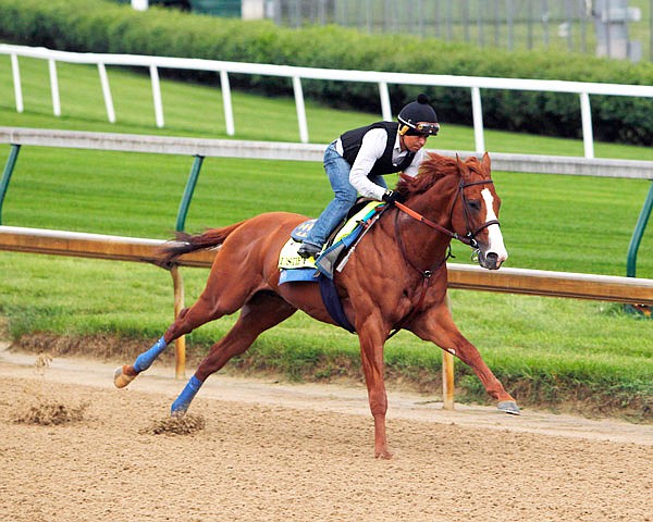 Drawing parallels between Justify and American Pharoah | Jefferson City ...