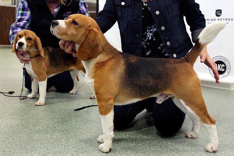 We hear the competition was ruff | Texarkana Gazette