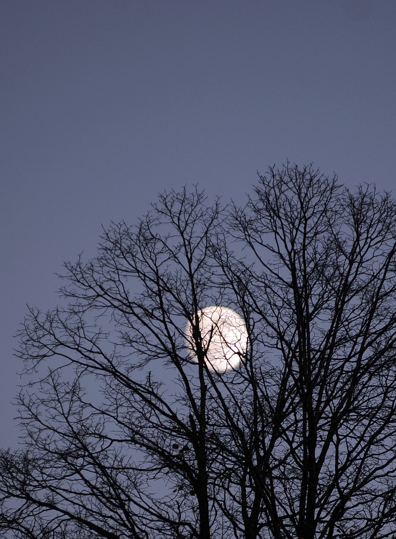 Celebrate the moon in Columbia | Jefferson City News Tribune