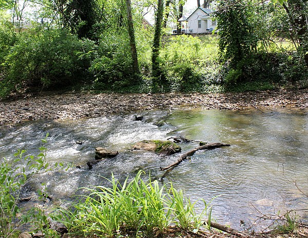 MU Extension introduces virtual lawn class | Fulton Sun