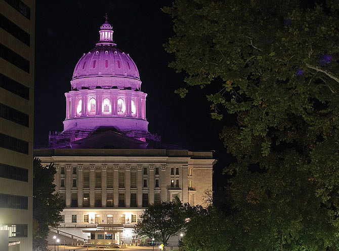 Capitol, Mansion to turn pink to promote breast cancer awareness ...