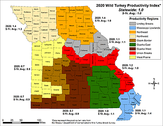 MDC: Turkey production slightly increases in state | Jefferson City ...