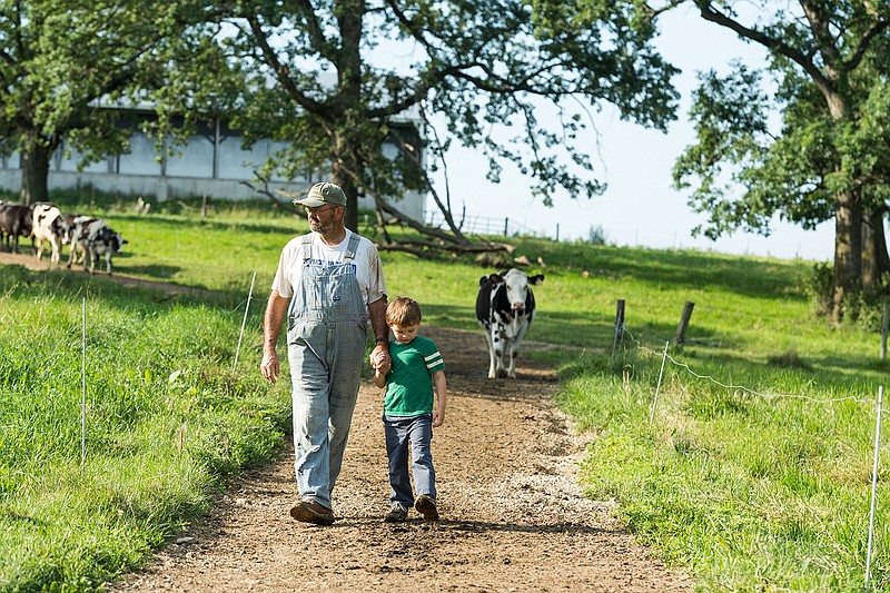 Midwestern organic dairy farmers hope to regain ground with Biden ...
