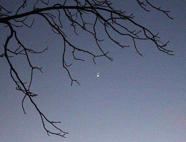 Look to the night sky today