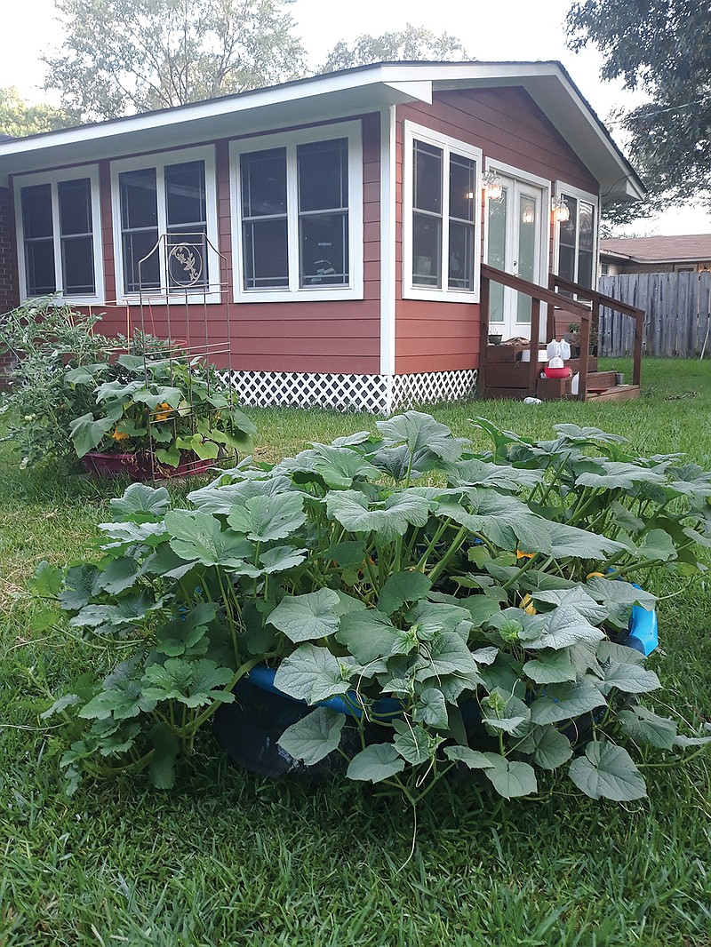 HER | Living a Seedy Life: It sow easy to fall in love with the pos ...