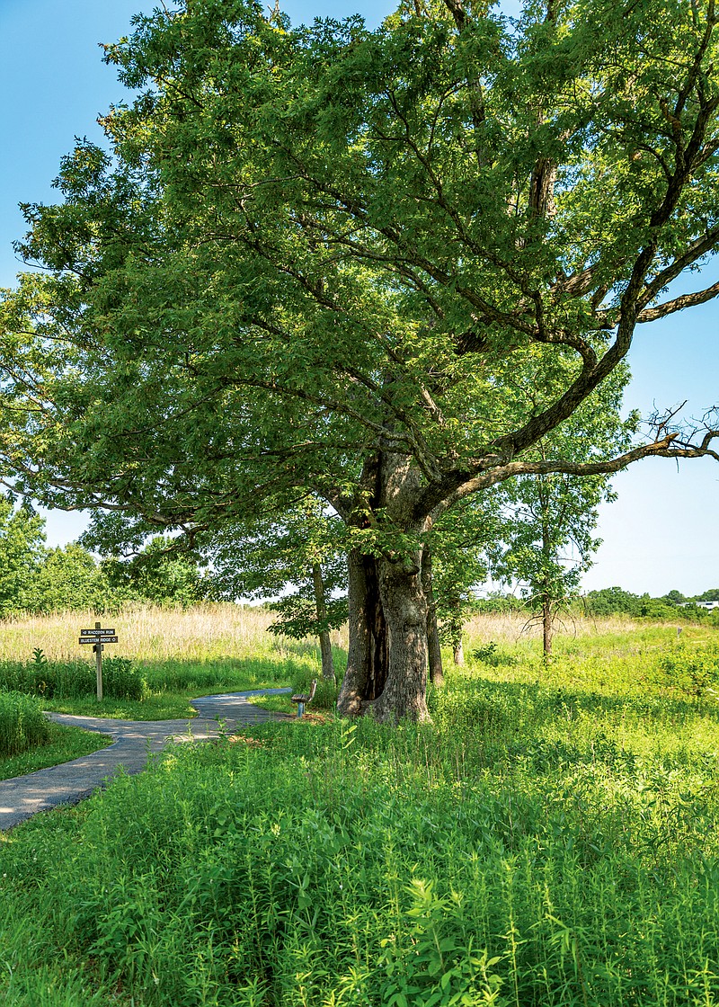 App enables natural exploration at Runge Nature Center | Jefferson City ...
