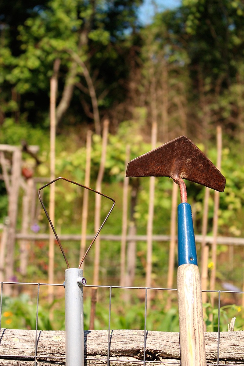 For effective weeding, go back to the hoe | Texarkana Gazette