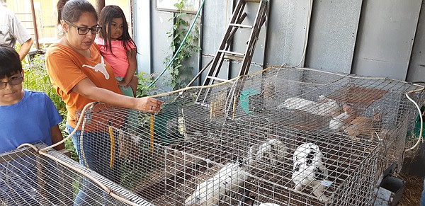 Binnings share secrets of self-sufficient farming