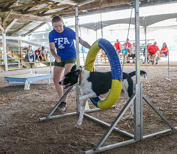Dog show emphasizes life skills | Jefferson City News Tribune