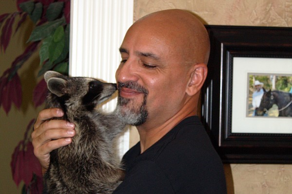 Arkansas raccoon owner hopes to make out like a bandit in pet contest ...