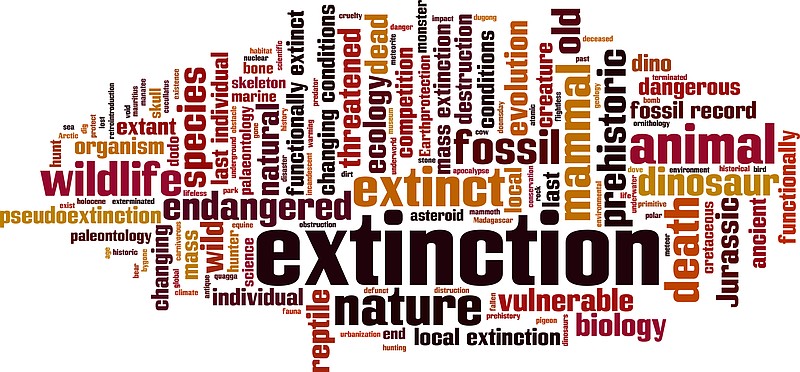 The first mass extinction event was from a lack of oxygen, researchers ...