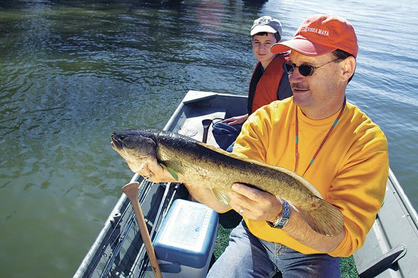 So-called trash fish can be tremendous fighters