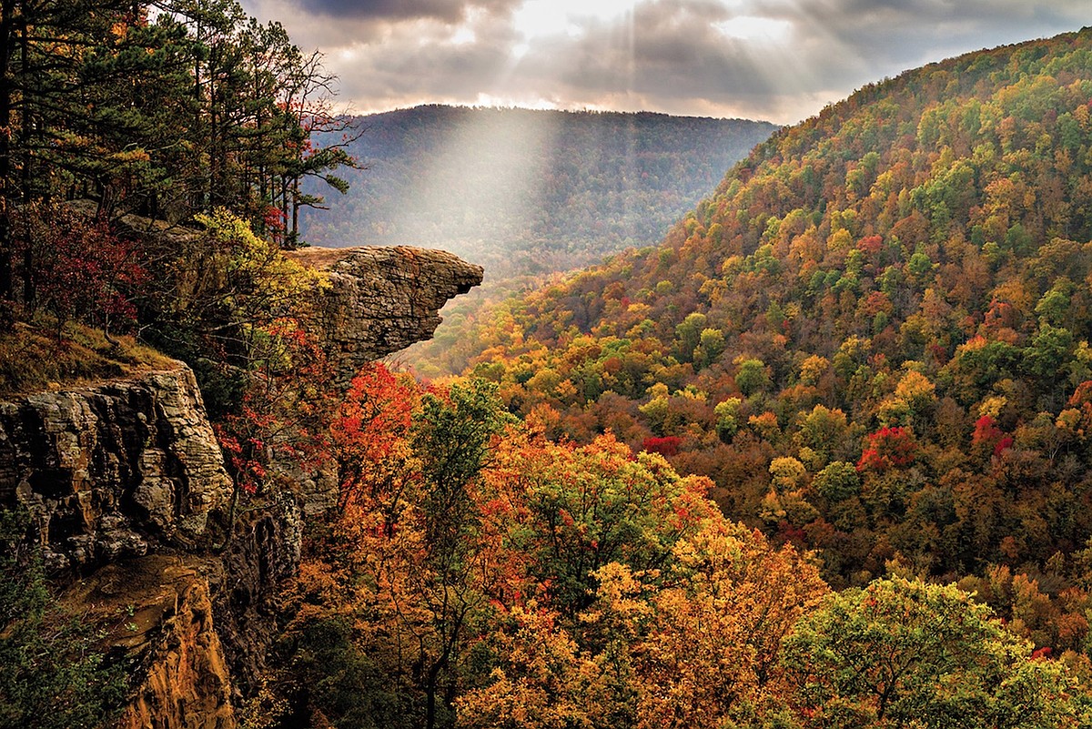 Arkansas wilderness photographer Tim Ernst to retire his artful ...
