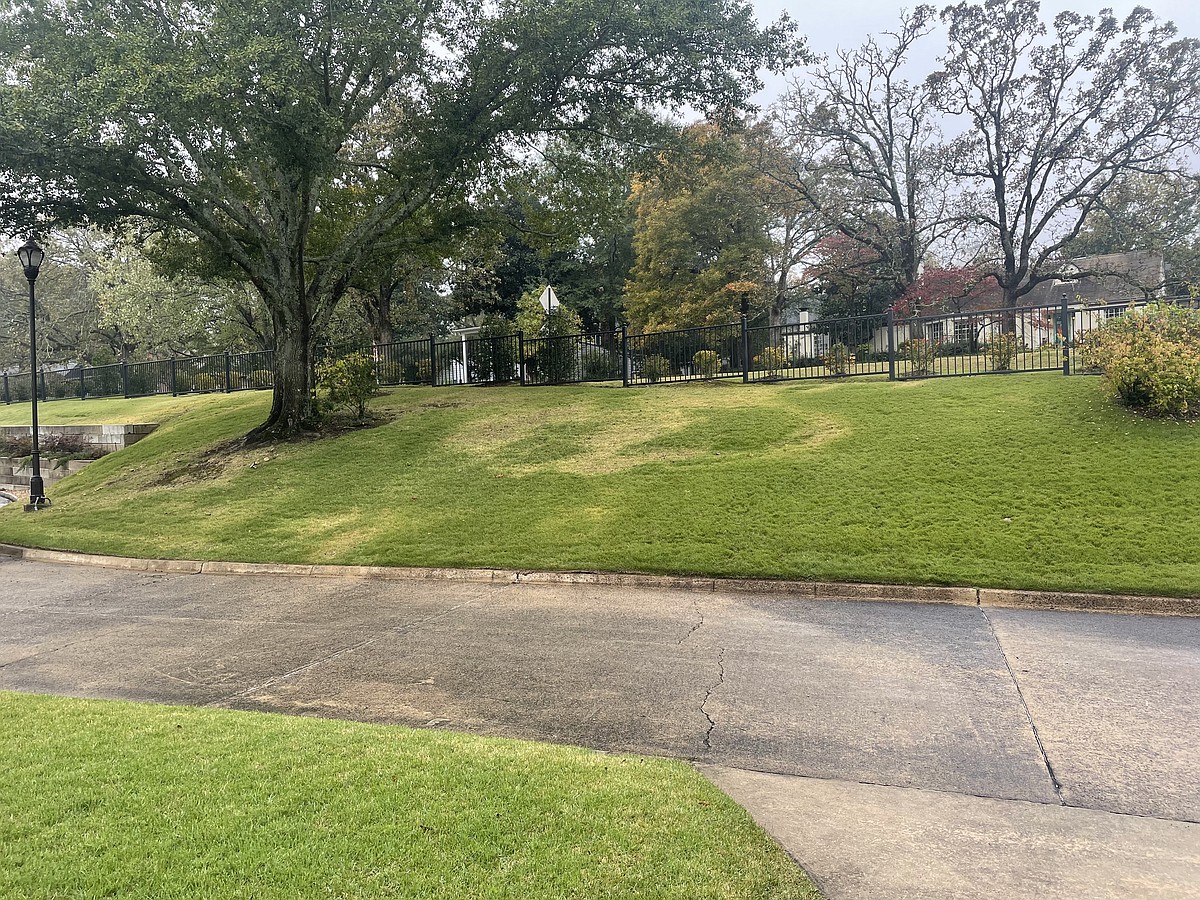 IN THE GARDEN: Lawn problems caused by numerous things — soil samples ...
