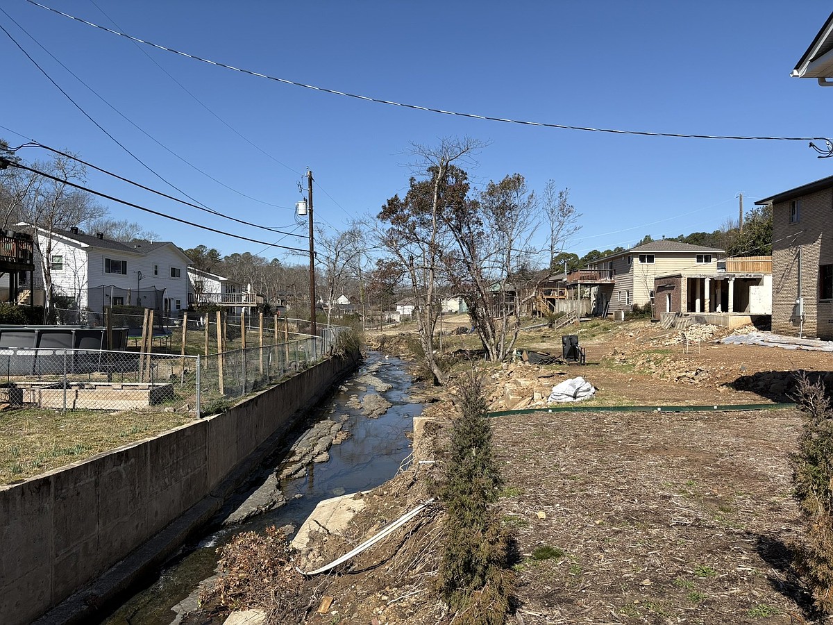 Rebuilding community, one tree at a time, with the Trinity Cathedral ...