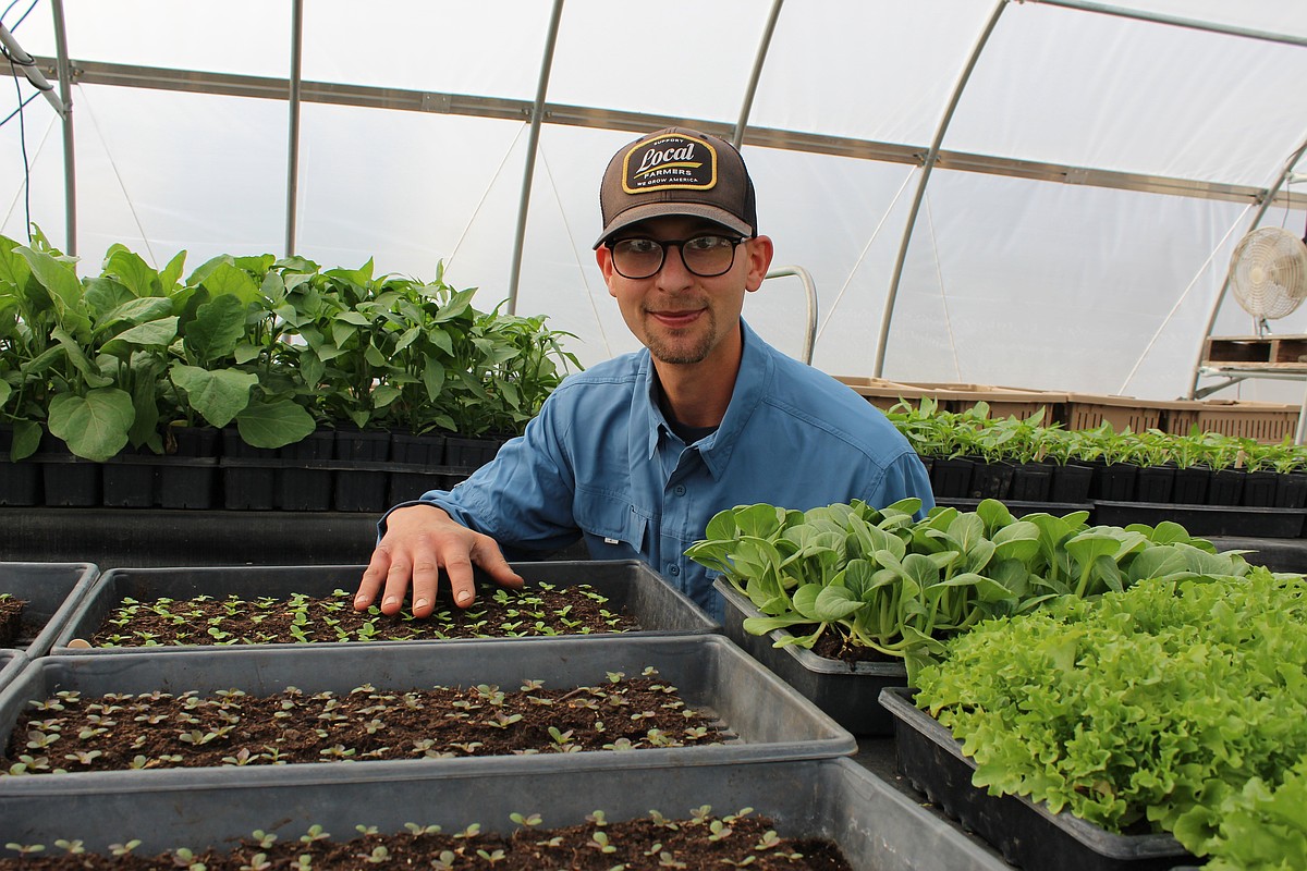 Harvesting Arkansas: Organic year-round farming is taking root in Northwest Arkansas | Northwest ...