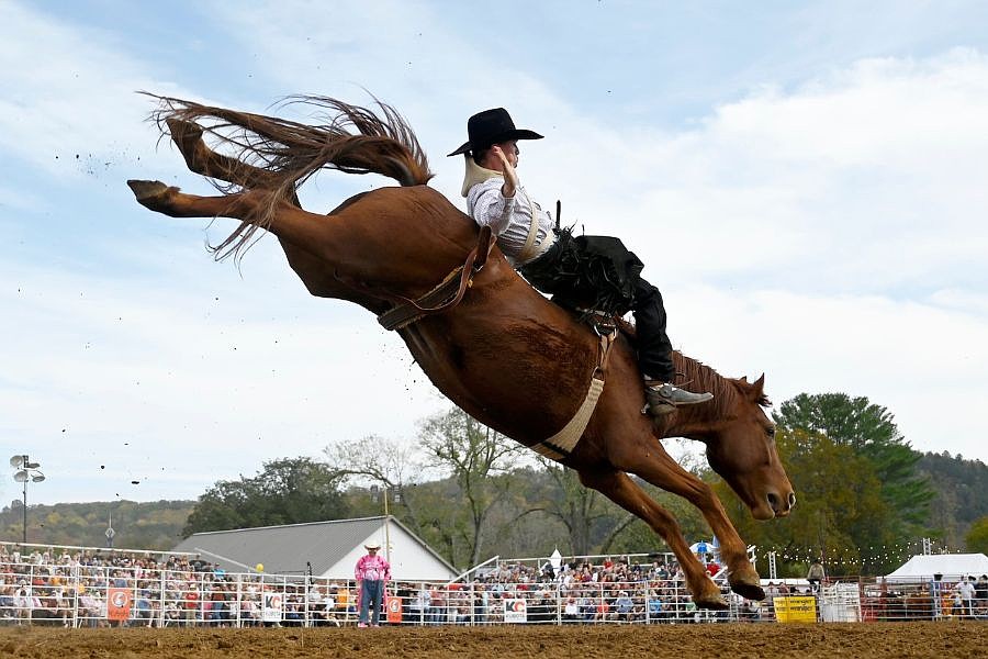 Hamilton County Fair announces music line-up for 2025 event ...