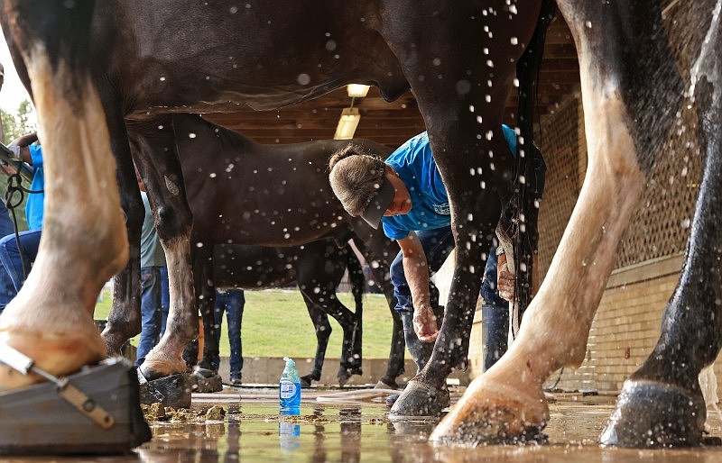 Hundreds of people converge on Barton Coliseum for 62nd annual Arkansas ...