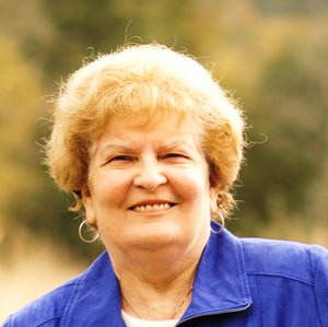 Beverly Ann Cook Boyd Obituary | The Arkansas Democrat-Gazette ...