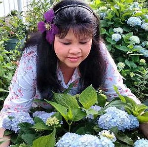 Jeanette Greer Obituary | The Arkansas Democrat-Gazette - Arkansas ...
