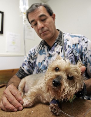 Rodent poison found in now-recalled pet food | The Arkansas Democrat ...