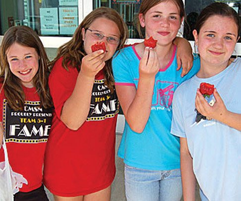 CABOT: Strawberries everywhere | The Arkansas Democrat-Gazette ...