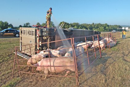 UPDATE: Hog truck overturns, closes interstate for hours | The Arkansas ...