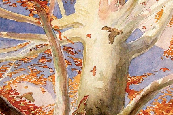 ARTBEAT: Mark Blaney exhibit is ‘Sublime’ experience | The Arkansas ...