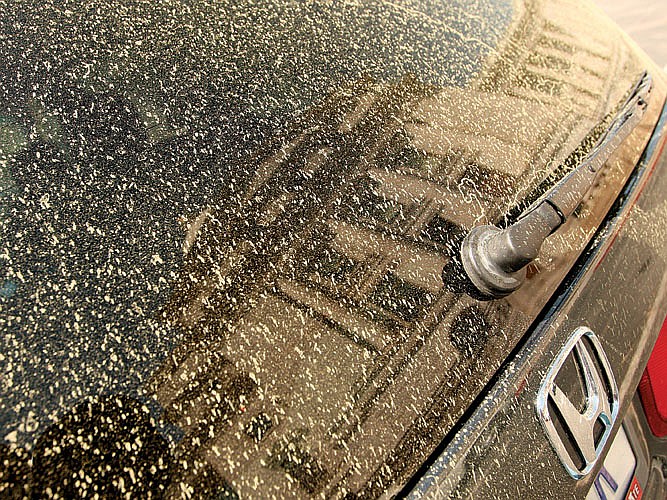 Achoo! LR tree-pollen count highest in 9 years | The Arkansas Democrat ...