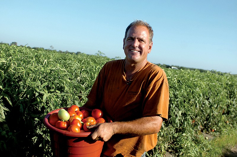 Tomato shortage turns into surplus | The Arkansas Democrat-Gazette ...