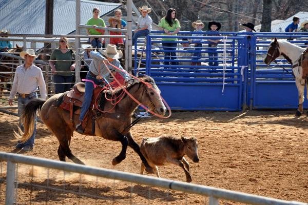 Arkansas Junior Rodeo Association, Mountain View | The Arkansas ...