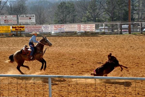 Arkansas Junior Rodeo Association, Mountain View | The Arkansas ...
