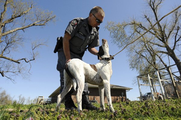 Animals In Benton County Increase Workload, Expenses | Northwest ...