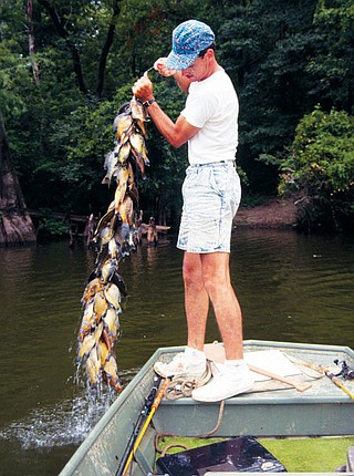 OUTDOORS: Fishing with the Bream Master | The Arkansas Democrat-Gazette ...