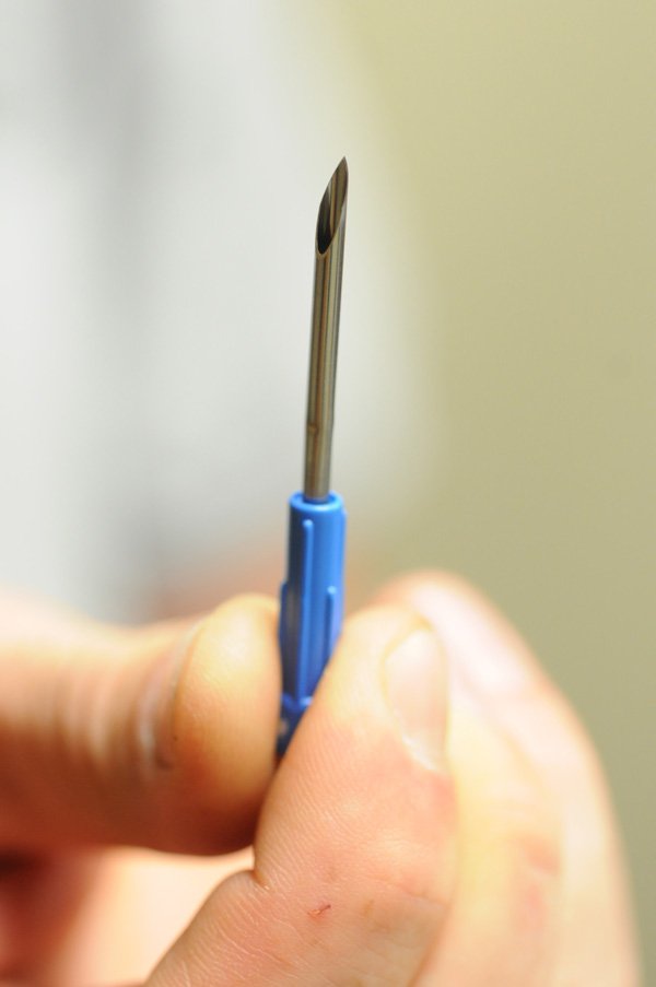 ENDING METAL TAGS: City OKs Pet Ordinance | Northwest Arkansas Democrat ...